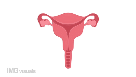Animated uterus problems element